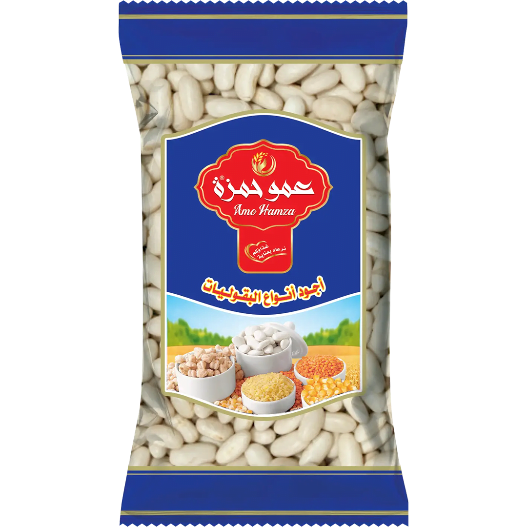 Home | شركة عمو حمزة | Amo Hamza Company